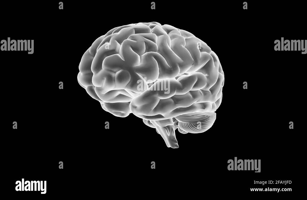 360 degree x ray Stock Videos & Footage - HD and 4K Video Clips - Alamy