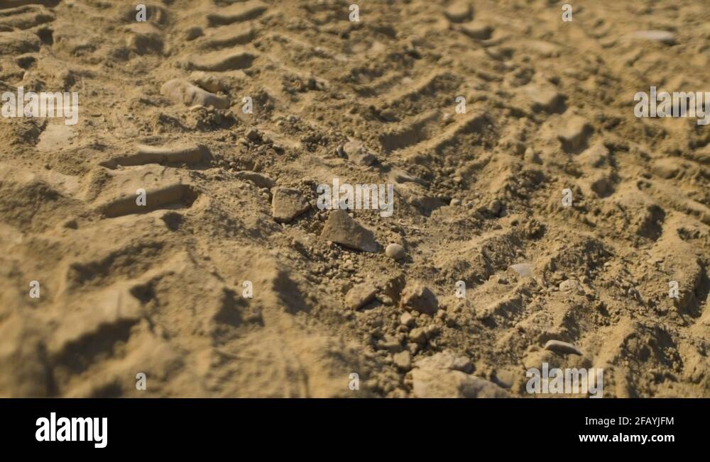 Farm texture Stock Videos & Footage - HD and 4K Video Clips - Alamy