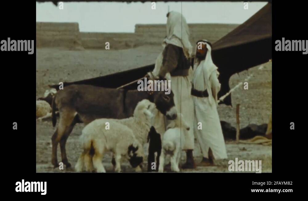 Ancient people migration Stock Videos & Footage - HD and 4K Video Clips ...