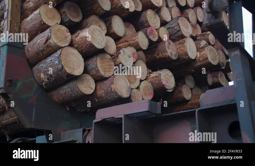 Timber railway Stock Videos & Footage - HD and 4K Video Clips - Alamy