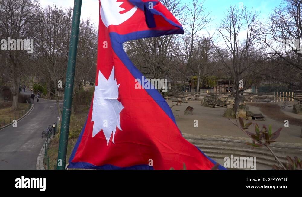 Nepal zoo Stock Videos & Footage - HD and 4K Video Clips - Alamy