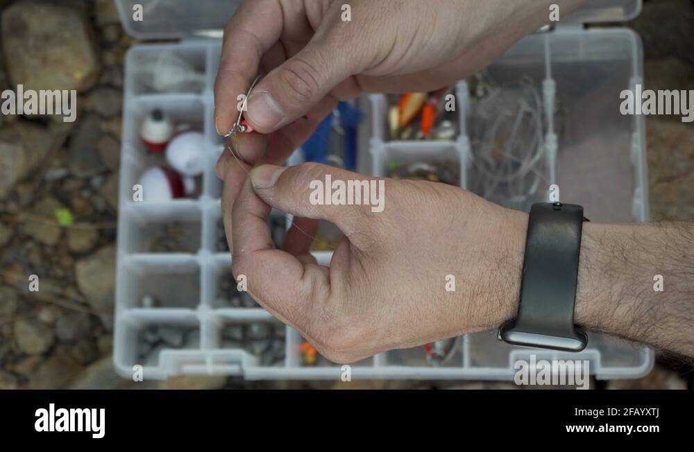 Lure box Stock Videos & Footage - HD and 4K Video Clips - Alamy