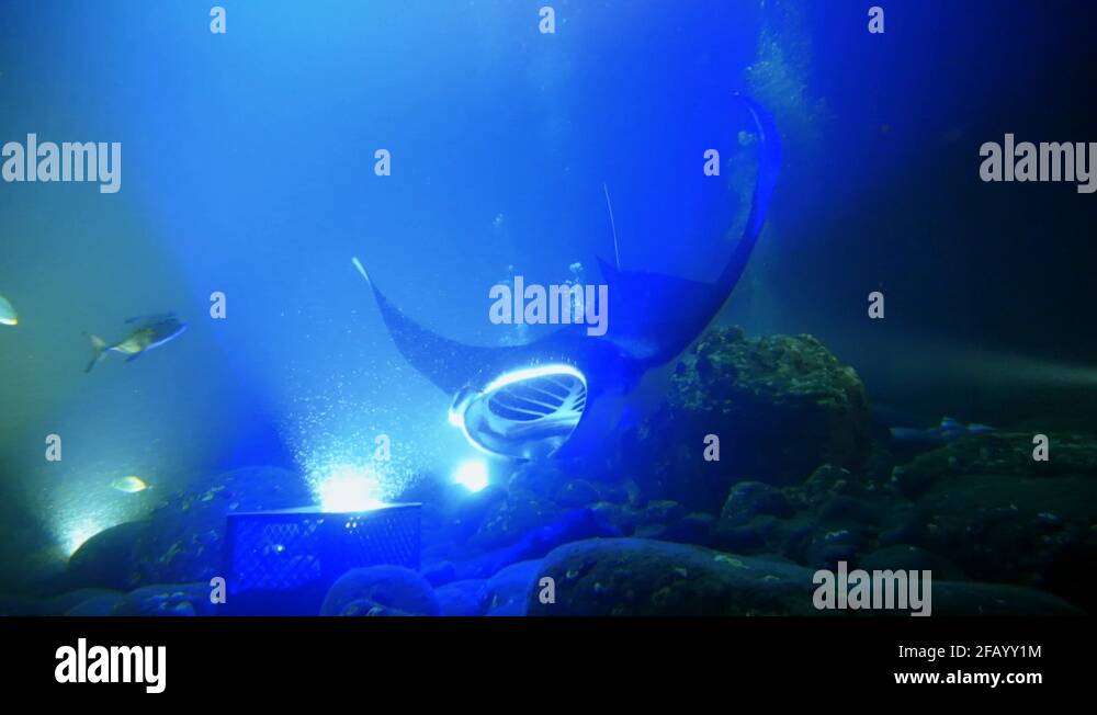 4 meter Stock Videos & Footage - HD and 4K Video Clips - Alamy