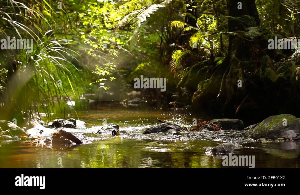 Deep water level Stock Videos & Footage - HD and 4K Video Clips - Alamy