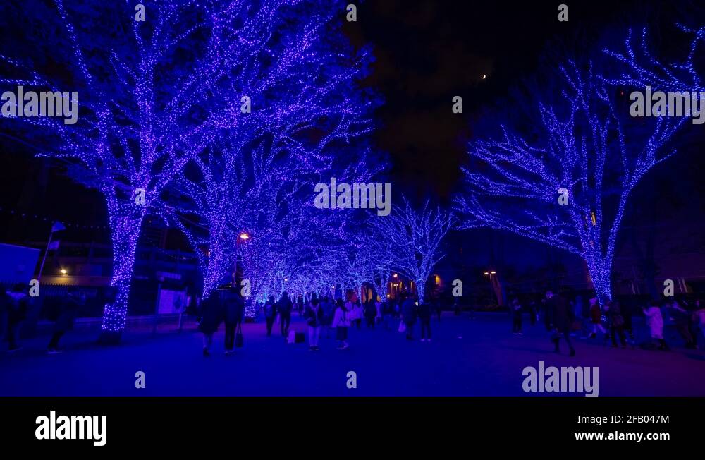 Street light blue Stock Videos & Footage - HD and 4K Video Clips - Alamy