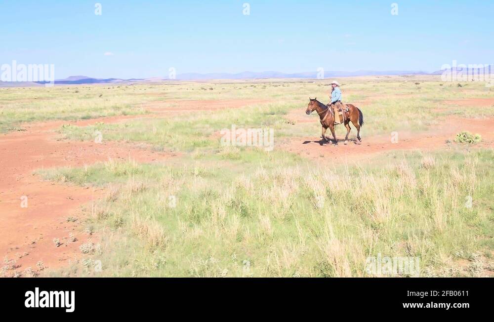 Scene in the libyan or western desert Stock Videos & Footage - HD and ...
