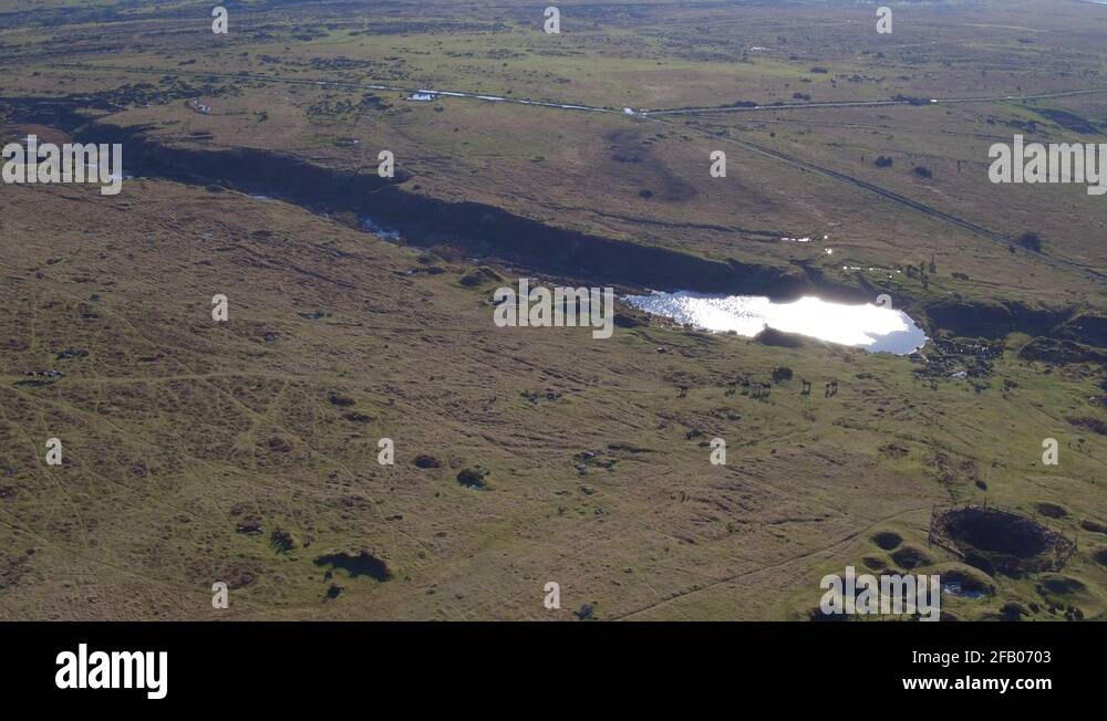 Moorland wildlife Stock Videos & Footage - HD and 4K Video Clips - Alamy