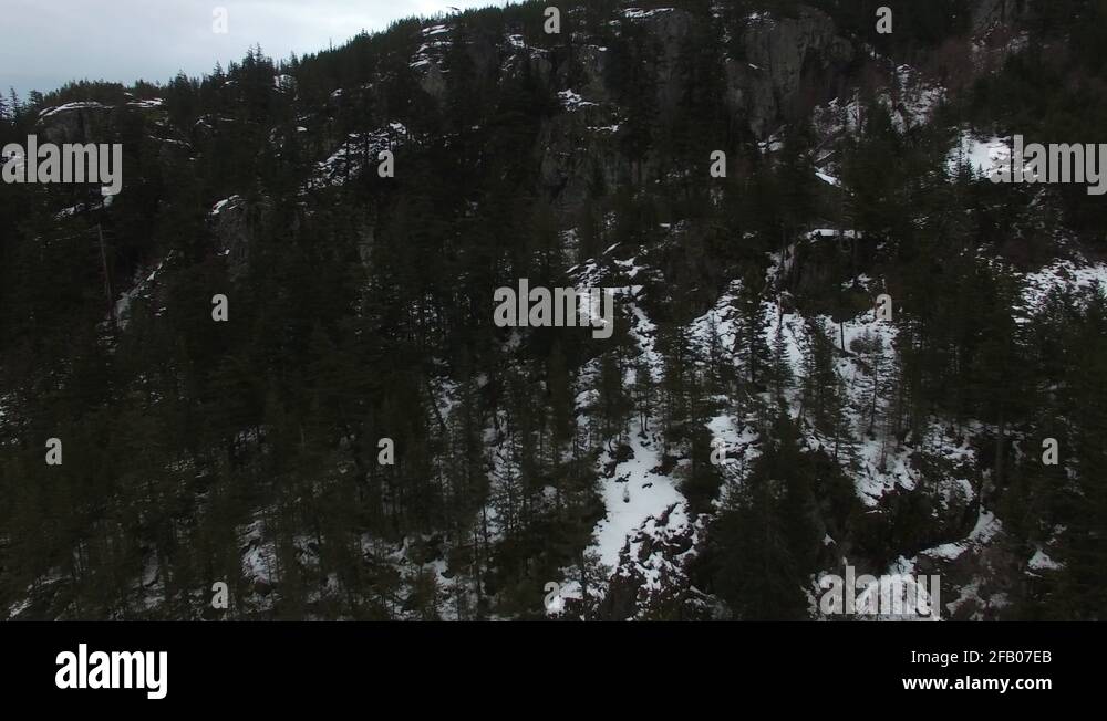 High elevated terrain of boreal forest with scarce pine trees in winter Stock Video Footage - Alamy