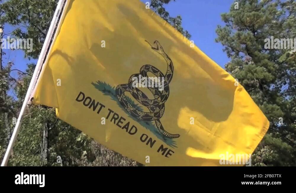 Gadsden flag Stock Videos & Footage - HD and 4K Video Clips - Alamy