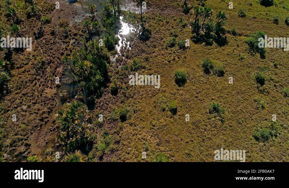 Cerrado brazil aerial Stock Videos & Footage - HD and 4K Video Clips ...