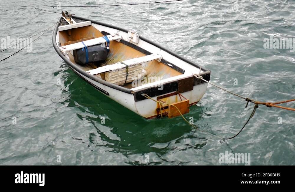 Harbouring Stock Videos & Footage - HD and 4K Video Clips - Alamy