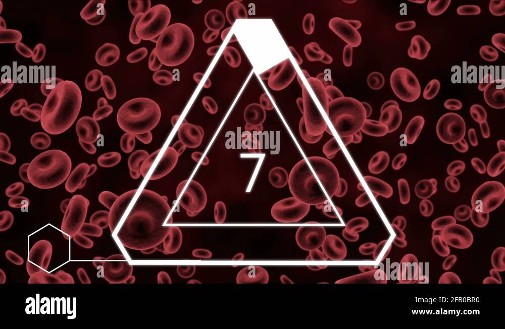 Immune system white blood cells Stock Videos & Footage - HD and 4K ...