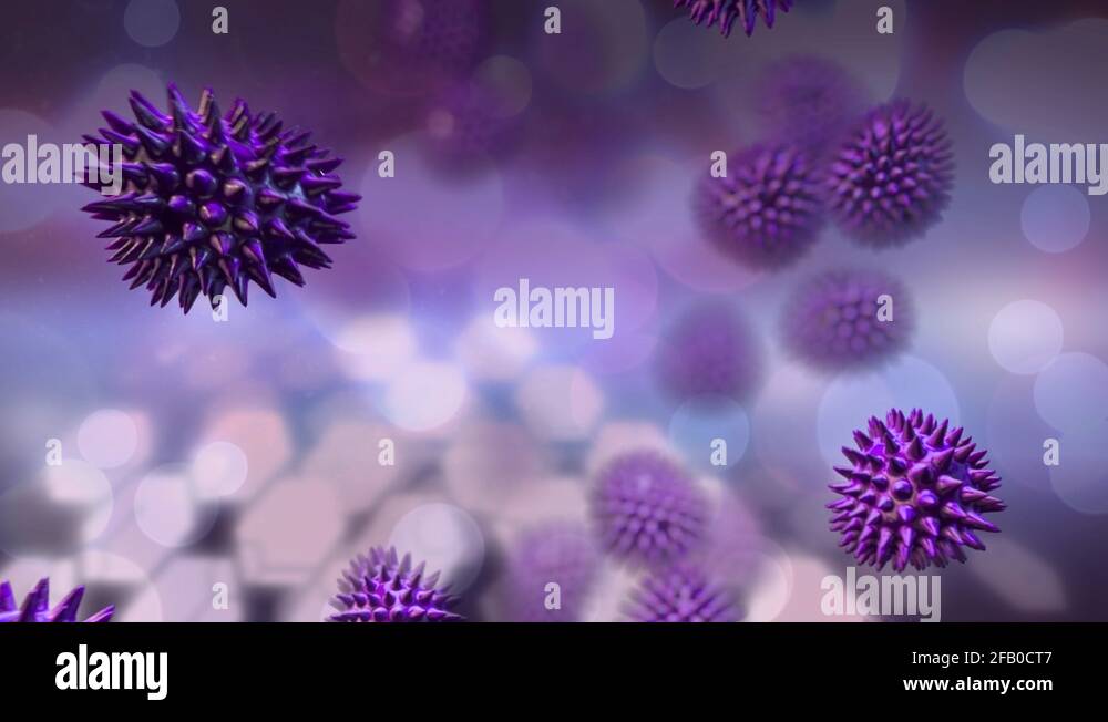 Purple bacteria Stock Videos & Footage - HD and 4K Video Clips - Alamy