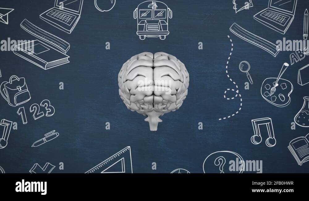 Pencil drawing of brain Stock Videos & Footage - HD and 4K Video Clips ...