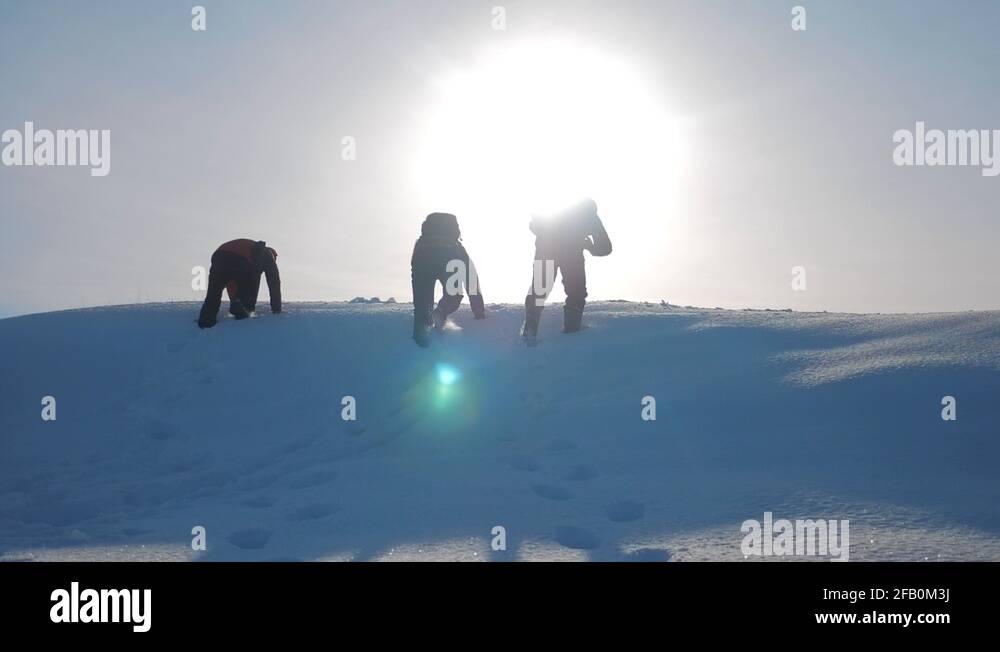 Teamwork winners Stock Videos & Footage - HD and 4K Video Clips - Alamy