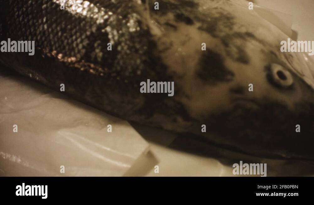 Horizontal scale Stock Videos & Footage - HD and 4K Video Clips - Alamy