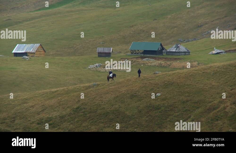 Horse footsteps Stock Videos & Footage - HD and 4K Video Clips - Alamy