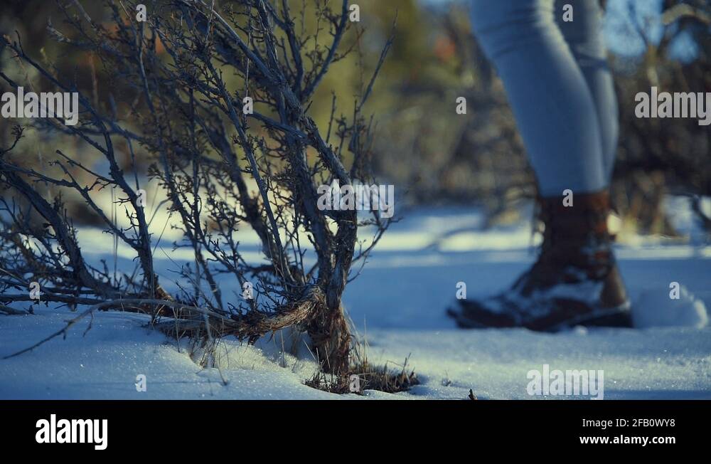 Body parts in ice Stock Videos & Footage - HD and 4K Video Clips - Alamy