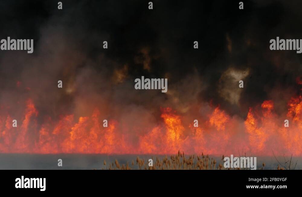 Fire accident big smoke Stock Videos & Footage - HD and 4K Video Clips ...