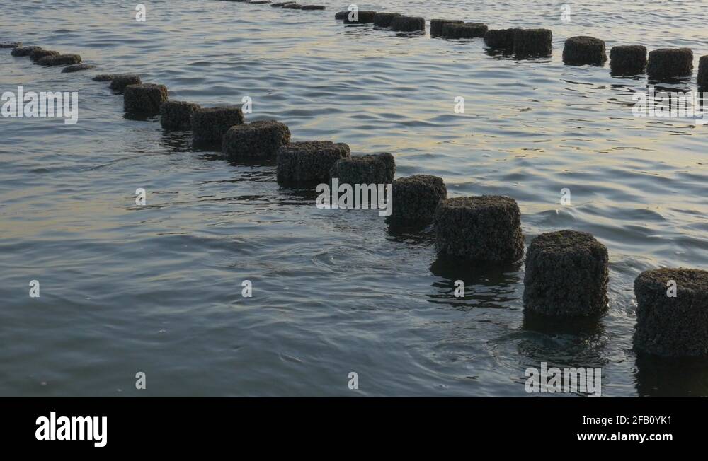 Timber sea groynes Stock Videos & Footage - HD and 4K Video Clips - Alamy
