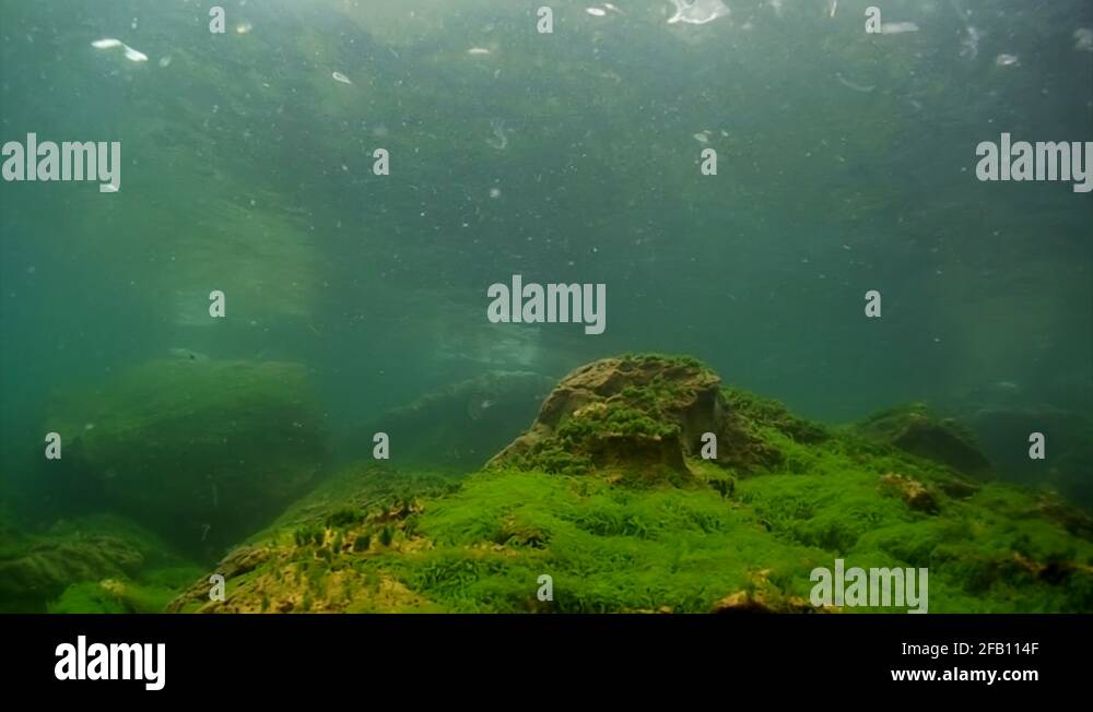 Underwater rock bottom of Lake Baikal Stock Video Footage - Alamy