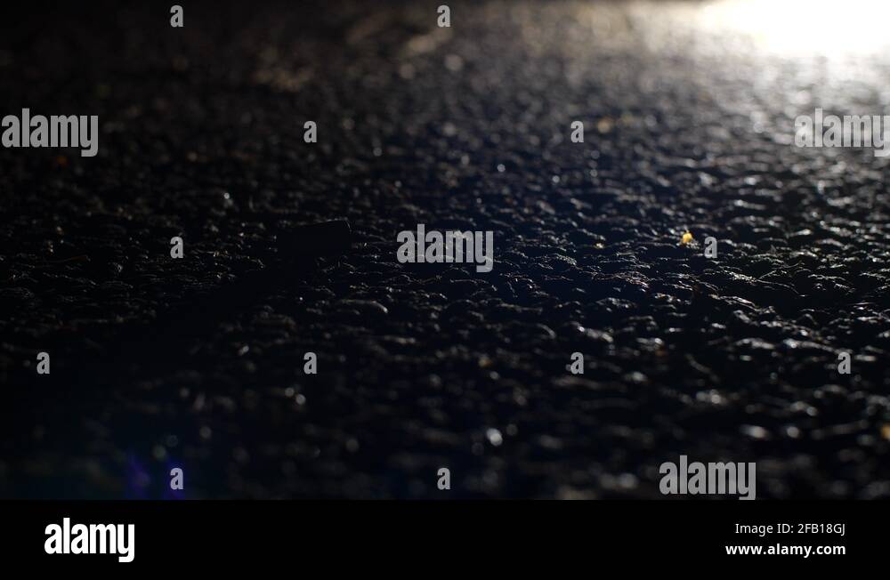 Examination of shells Stock Videos & Footage - HD and 4K Video Clips ...