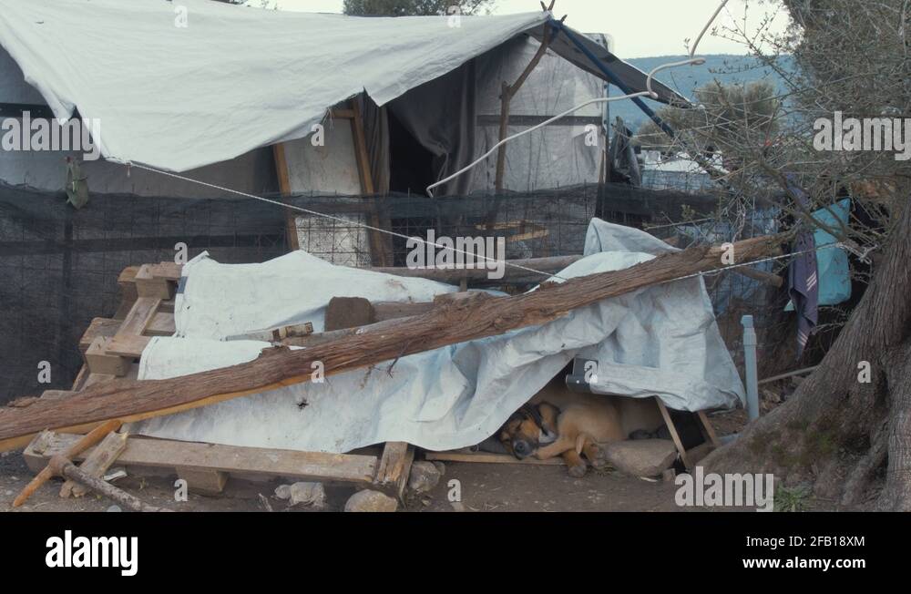 Lean to shelter Stock Videos & Footage - HD and 4K Video Clips - Alamy