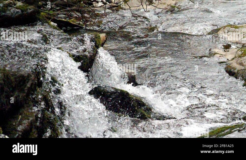 Plunge fluid Stock Videos & Footage - HD and 4K Video Clips - Alamy