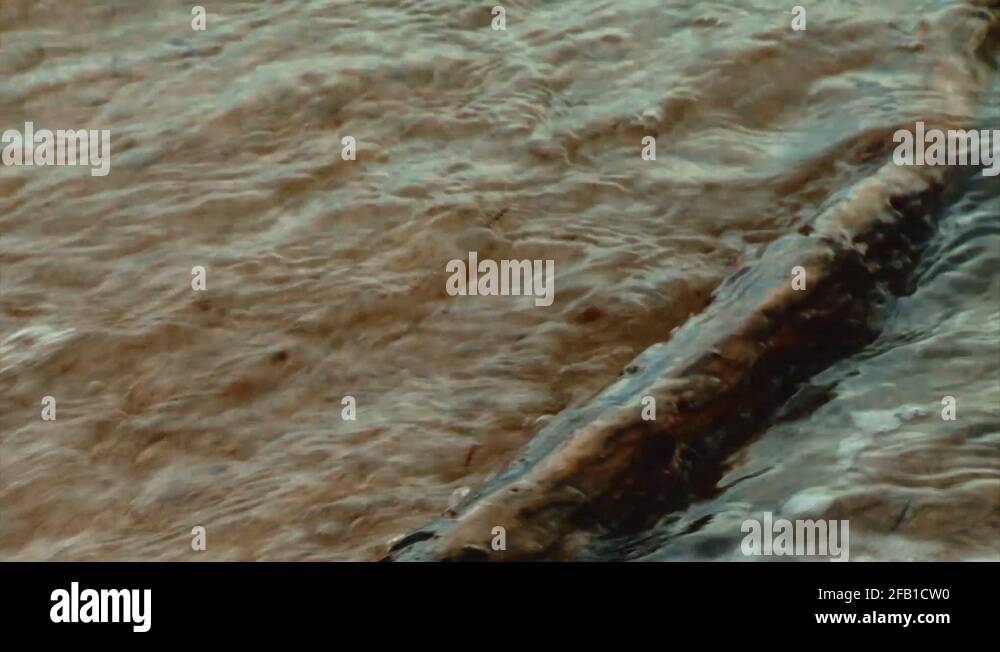 Salt contamination Stock Videos & Footage - HD and 4K Video Clips - Alamy