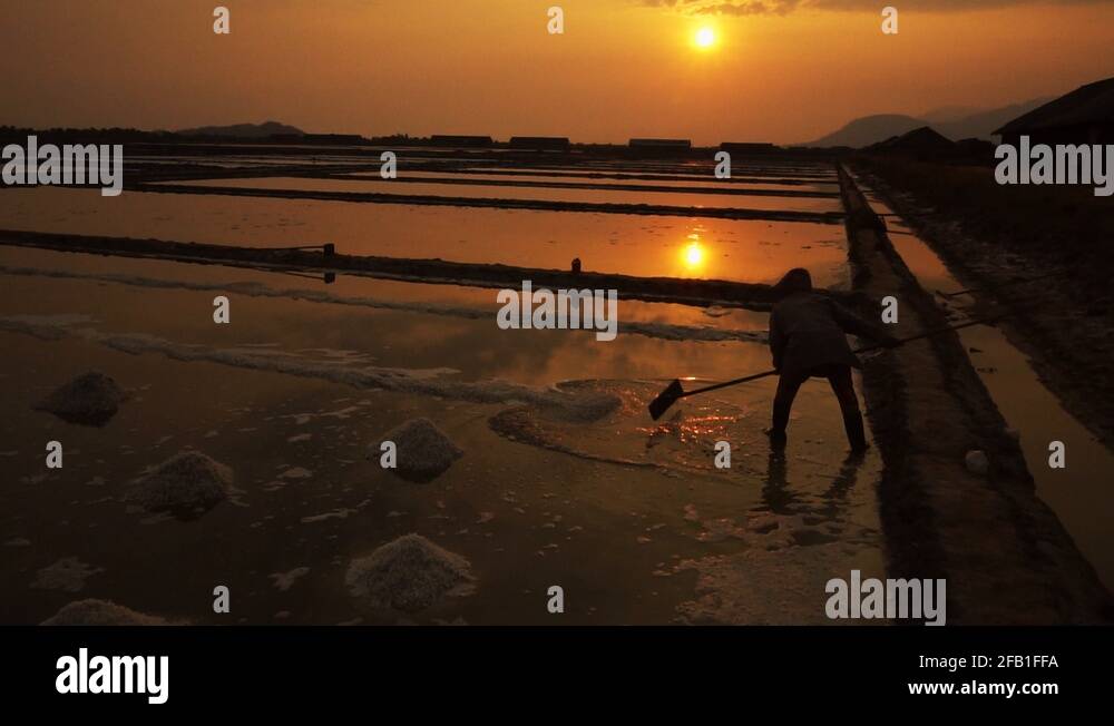 Harvesting of salt Stock Videos & Footage - HD and 4K Video Clips - Alamy