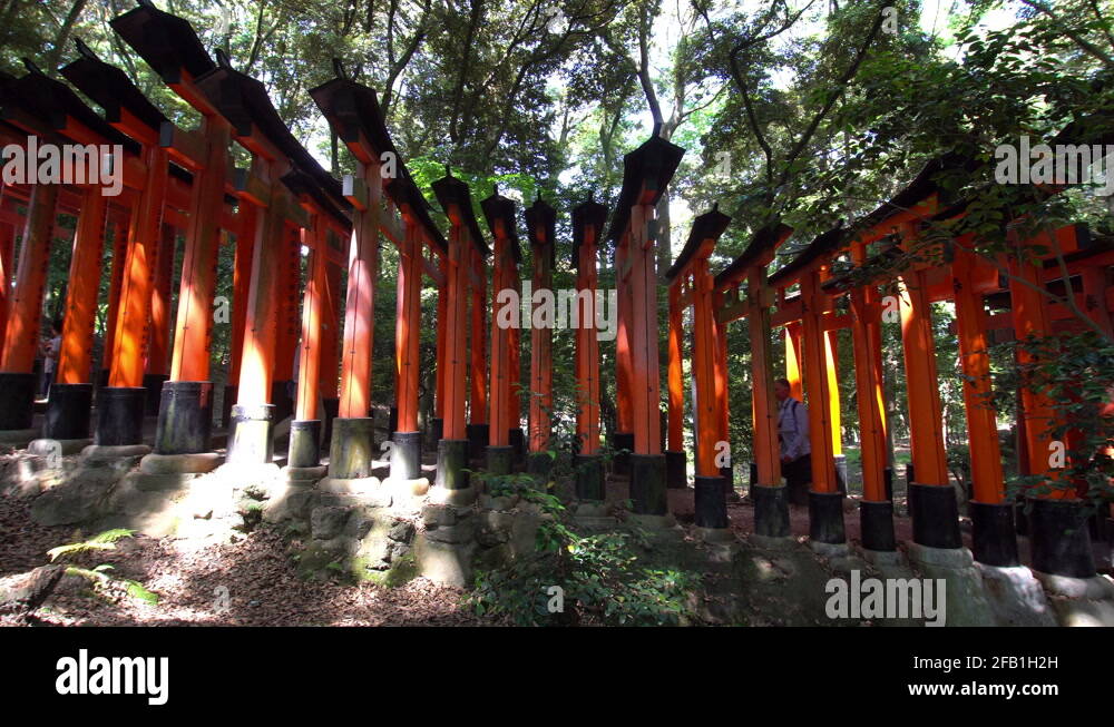 Kyoto famous shrine Stock Videos & Footage - HD and 4K Video Clips - Alamy
