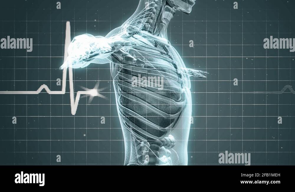 Scanning Human Anatomy medic science Stock Video Footage - Alamy
