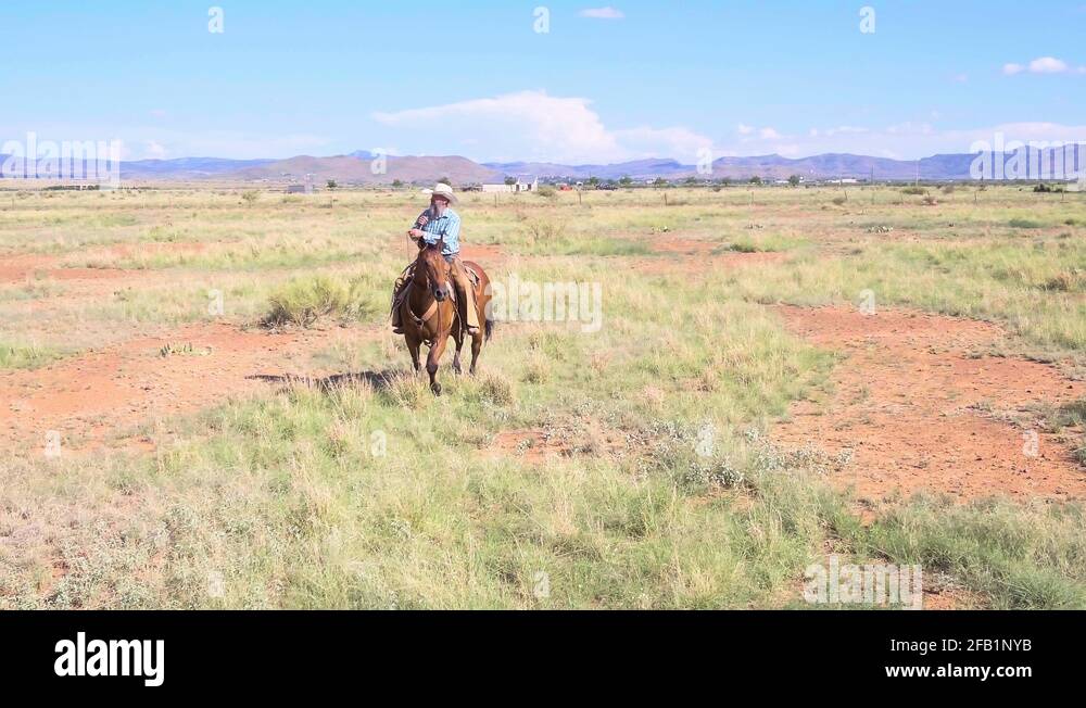 Usa western old horse Stock Videos & Footage - HD and 4K Video Clips ...
