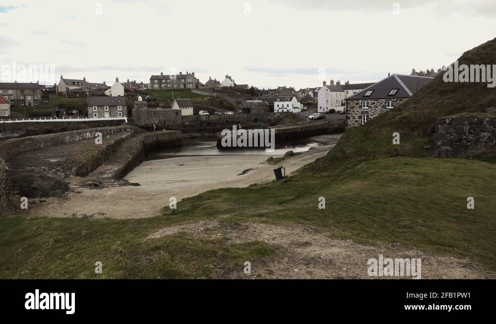 Dolphin sand sculpture Stock Videos & Footage - HD and 4K Video Clips ...