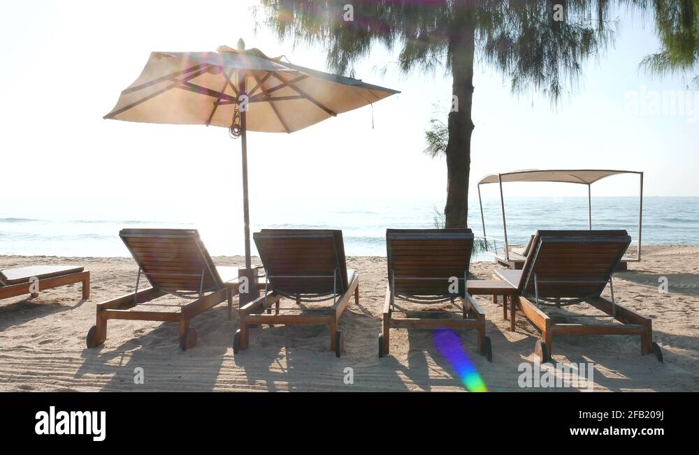 Shade trees on beach Stock Videos & Footage - HD and 4K Video Clips - Alamy