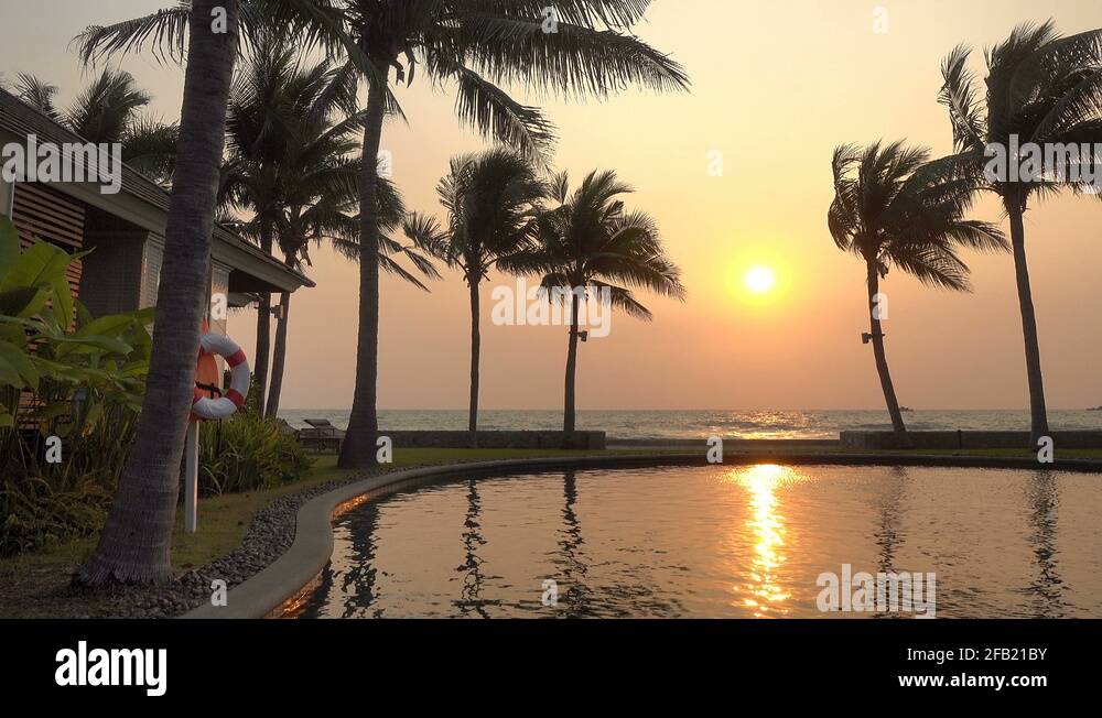 Golden palm resort Stock Videos & Footage - HD and 4K Video Clips - Alamy