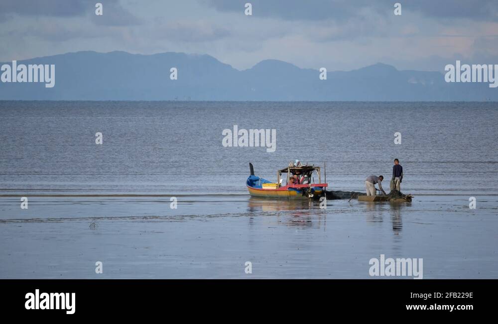 Fisherman catch fish Stock Videos & Footage - HD and 4K Video Clips - Alamy