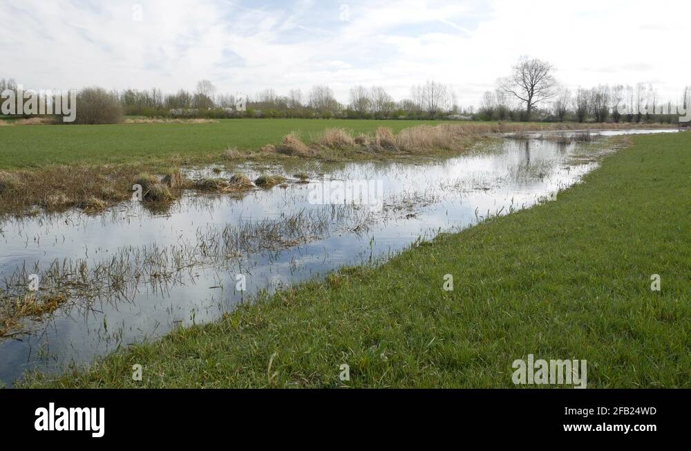 Typical river scene in Stock Videos & Footage - HD and 4K Video Clips ...