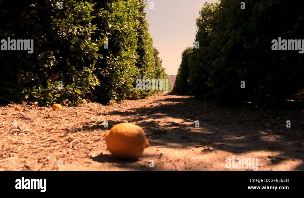 Windy pathway Stock Videos & Footage - HD and 4K Video Clips - Alamy