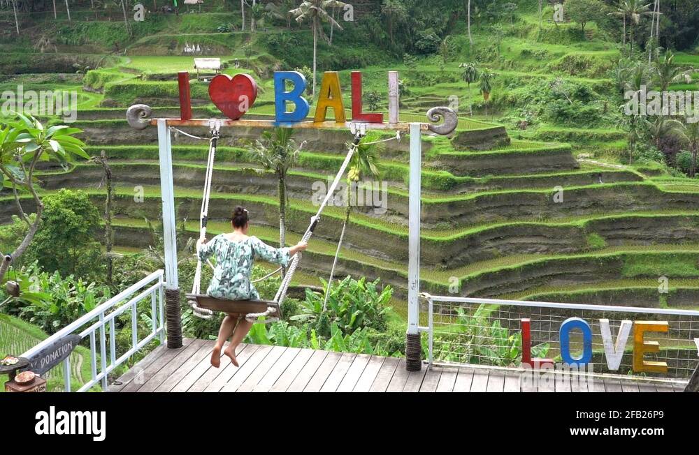Girl swinging a swing in jungle on rice terraces, island Bali, Ubud ...
