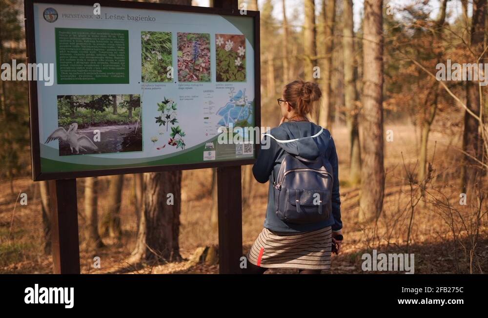 Information board in nature Stock Videos & Footage - HD and 4K Video Clips - Alamy