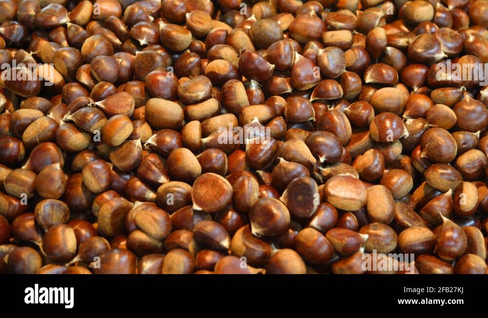 Smooth shells Stock Videos & Footage - HD and 4K Video Clips - Alamy