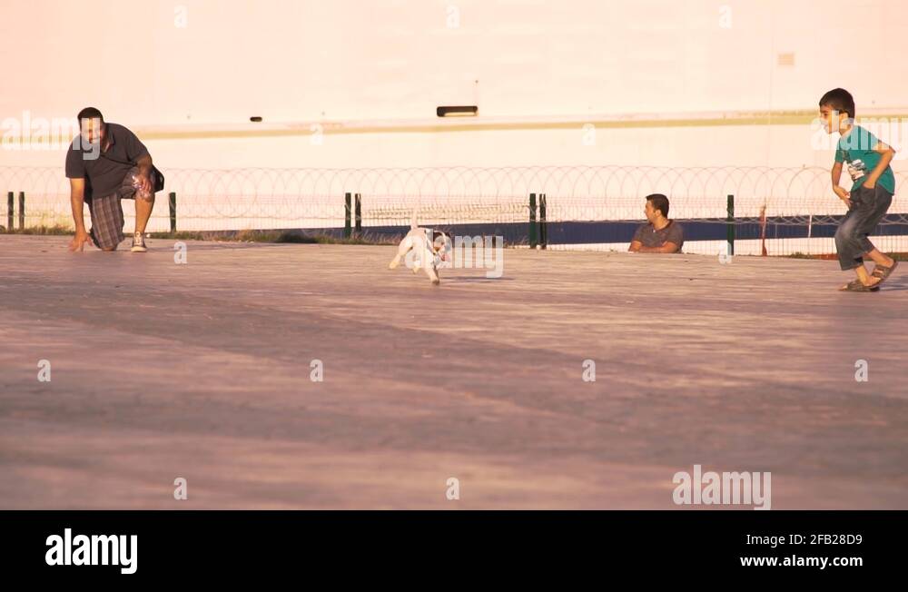 Man chasing child Stock Videos & Footage - HD and 4K Video Clips - Alamy