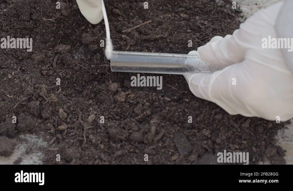 Soil sample testing Stock Videos & Footage - HD and 4K Video Clips - Alamy