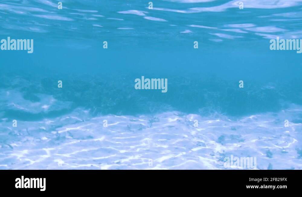 Coral reefs of the red sea indian ocean Stock Videos & Footage - HD and ...