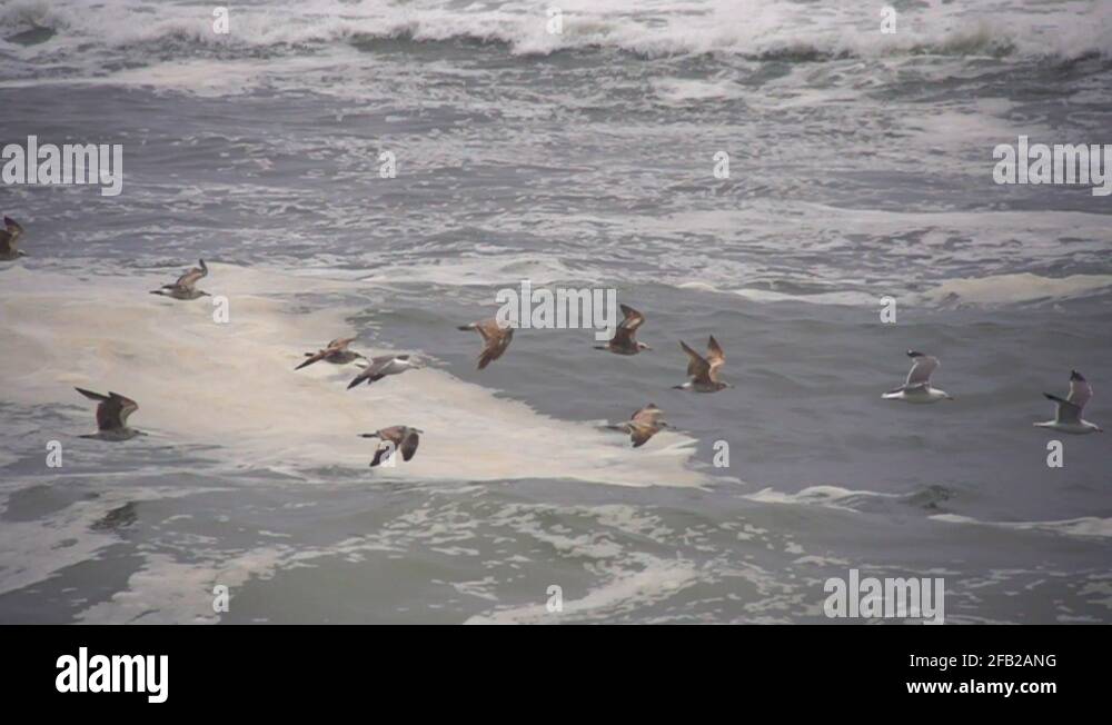 Fly over the ocean waves Stock Videos & Footage - HD and 4K Video Clips ...