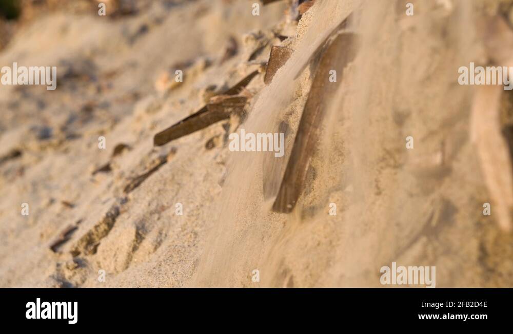 Thin sand falling down dune slope with dead algae. Static shot, shallow ...