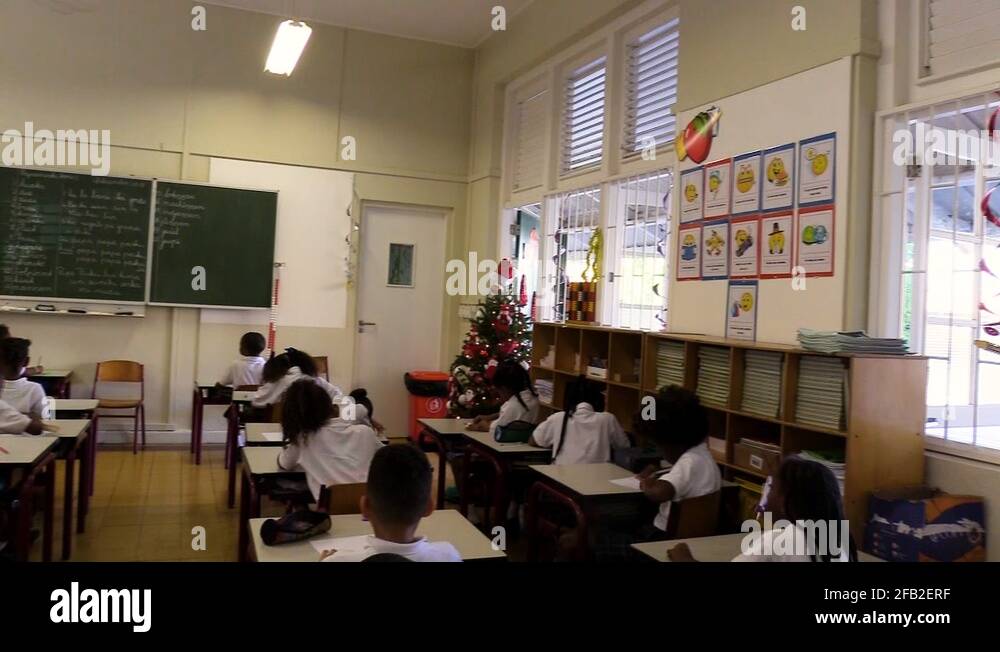 Caribbean school Stock Videos & Footage - HD and 4K Video Clips - Alamy