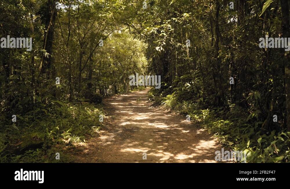 Car path Stock Videos & Footage - HD and 4K Video Clips - Alamy