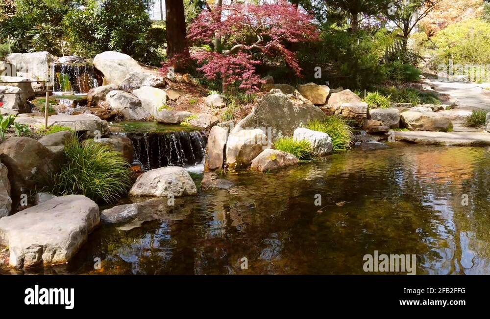Red cascade tree Stock Videos & Footage - HD and 4K Video Clips - Alamy